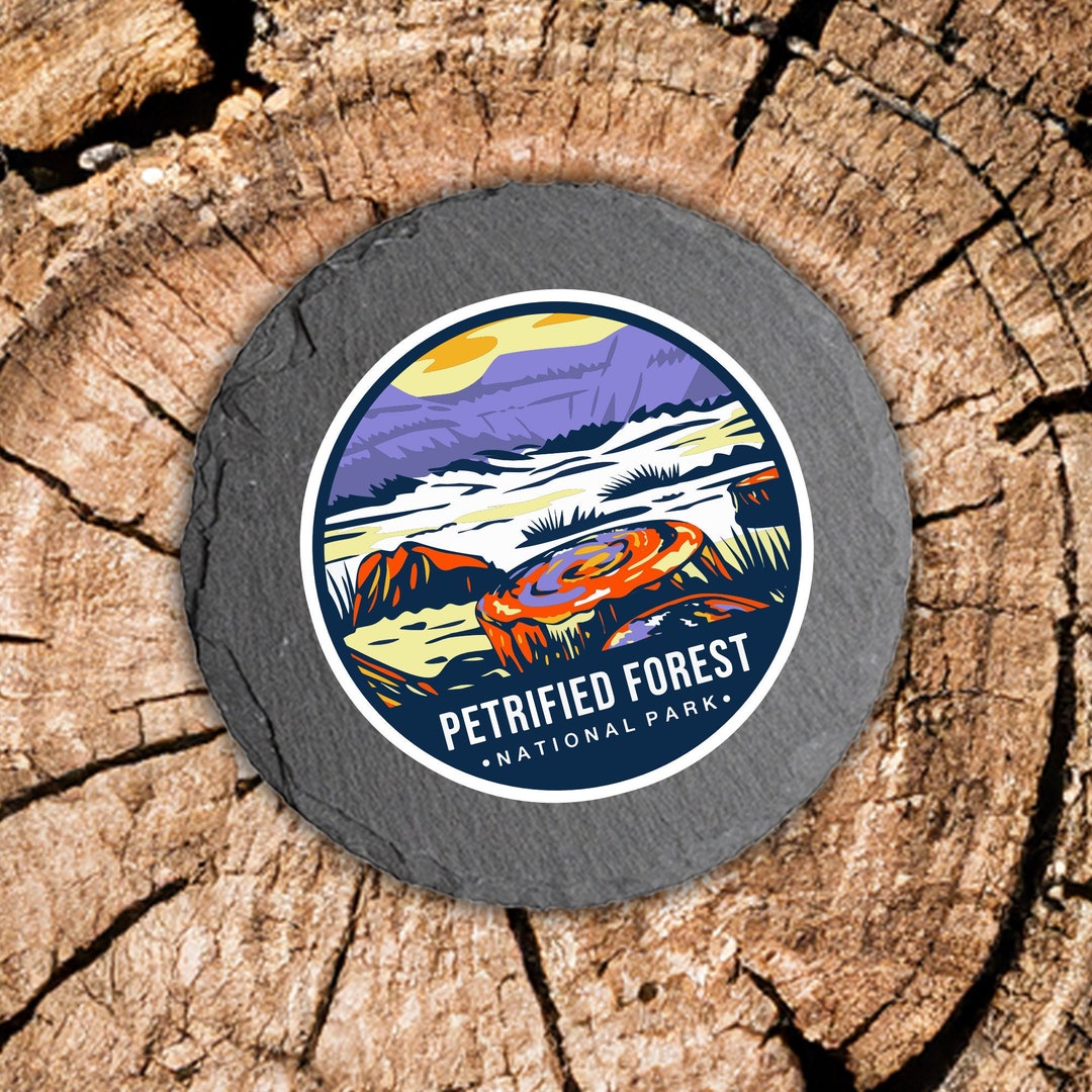 Petrified Forest National Park Coasters, Adventure Awaits, Perfect Gift ...