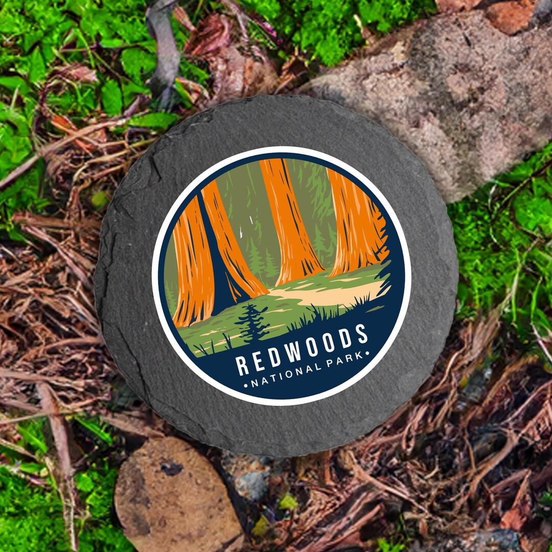 Redwoods National Park Coasters, Adventure Awaits, Perfect Gift for ...