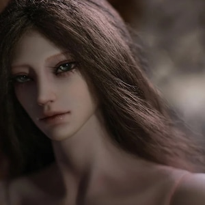 BJD Doll Full Set 1/4 BJD Fullset Art Doll Ball Jointed Dolls BJD ...