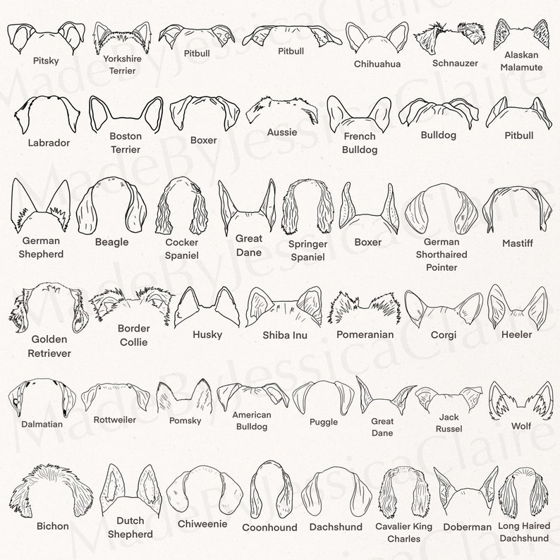 Dog Breed Ears Outline SVG, PNG Clipart Bundle - Tattoo Design - Etsy