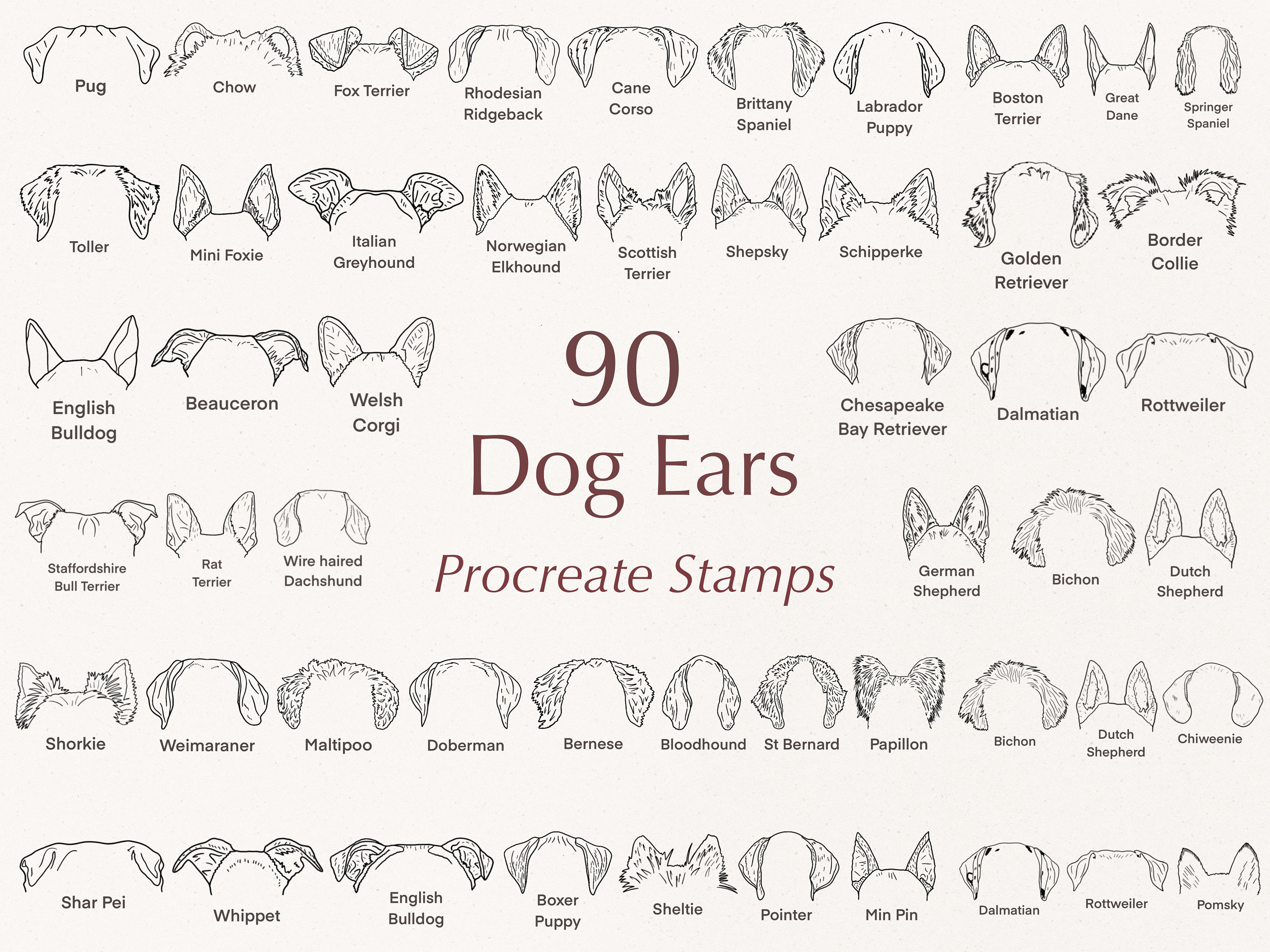 Procreate Dog Ears | Dog Breed Line Drawing | Animal Stamps | Procreate ...