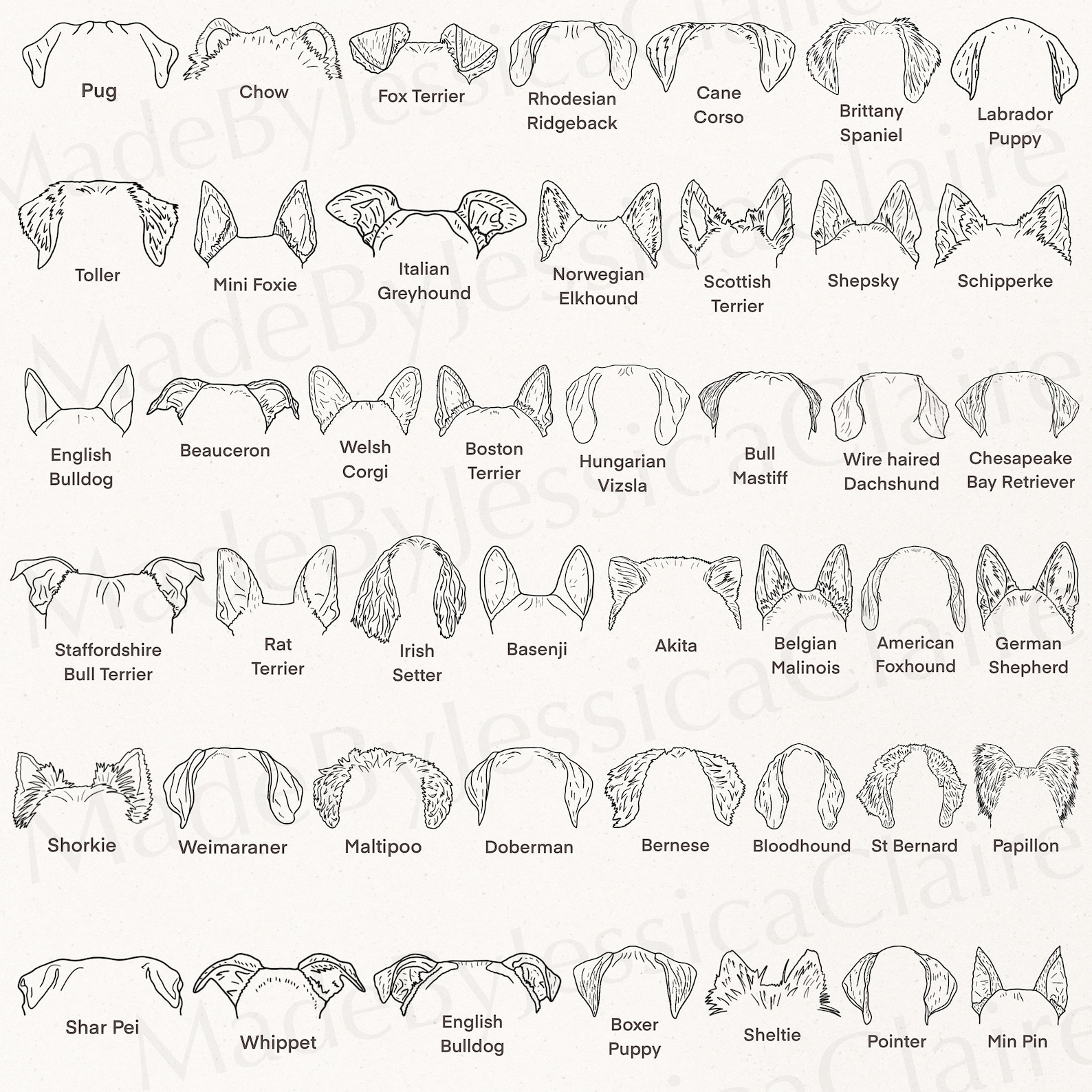 Procreate Dog Ears Dog Breed Line Drawing Animal Stamps - Etsy