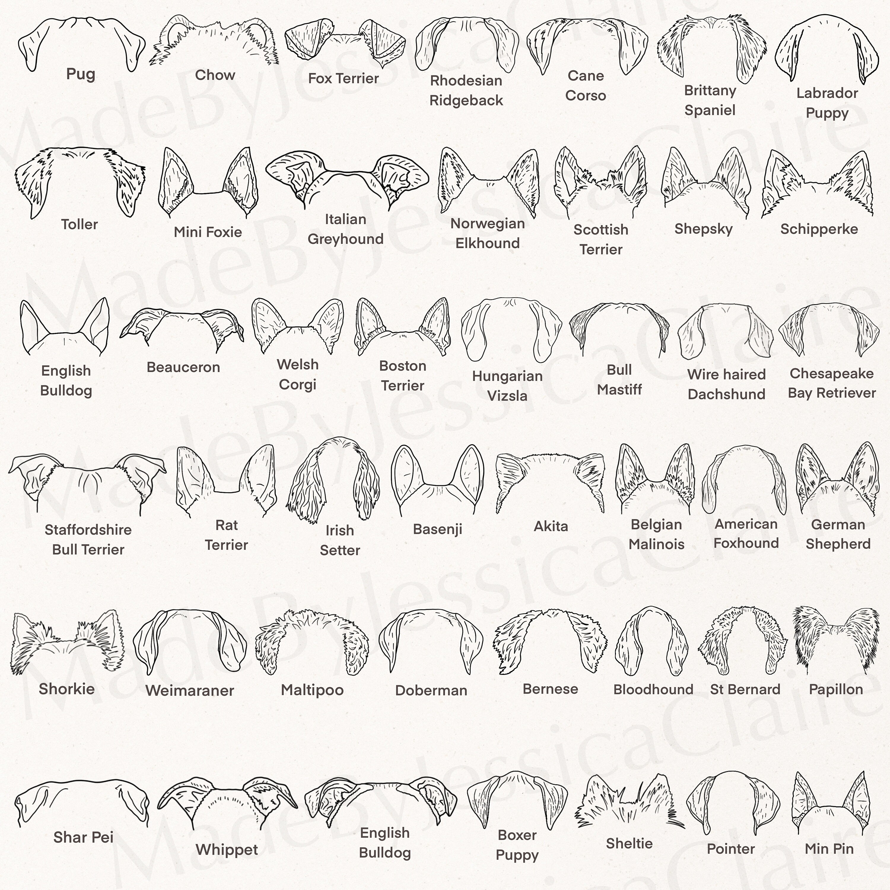 Procreate Dog Ears Dog Breed Line Drawing Animal Stamps - Etsy