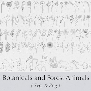 Botanical SVG | Floral Svg | Flowers Svg | Branches Svg | Animals Svg ...