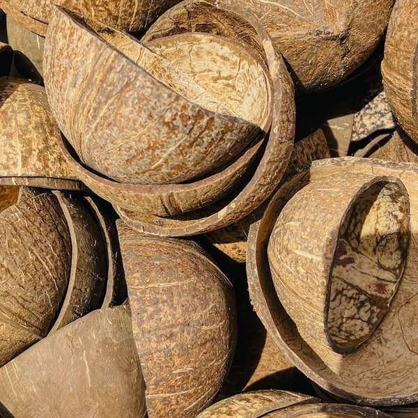 Coconut Shell - Etsy