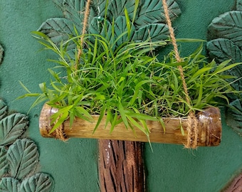 Hanging Planter Bamboo - Etsy