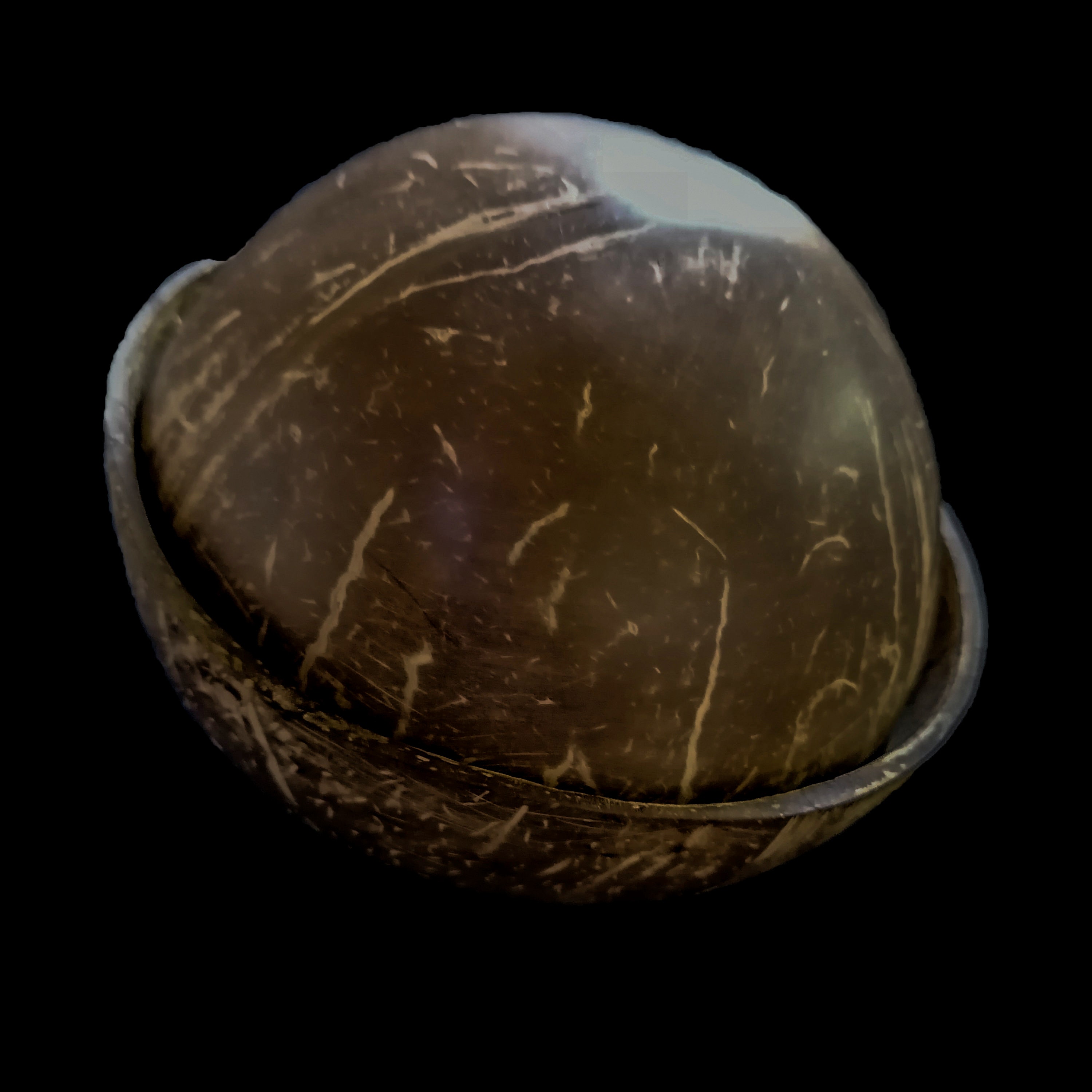 Coconut Shell Bowl, Smooth Finished, Handmade Coconut Bowl, Coconut ...