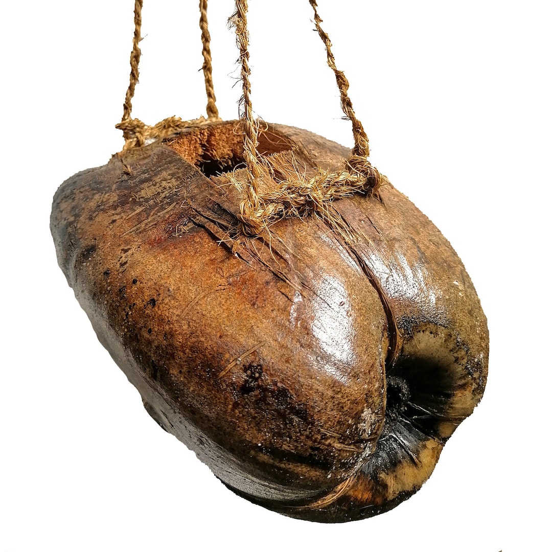 Coco Husk Basket Coconut Husk Hanging Pot Outdoor/indoor Hanging Pots ...