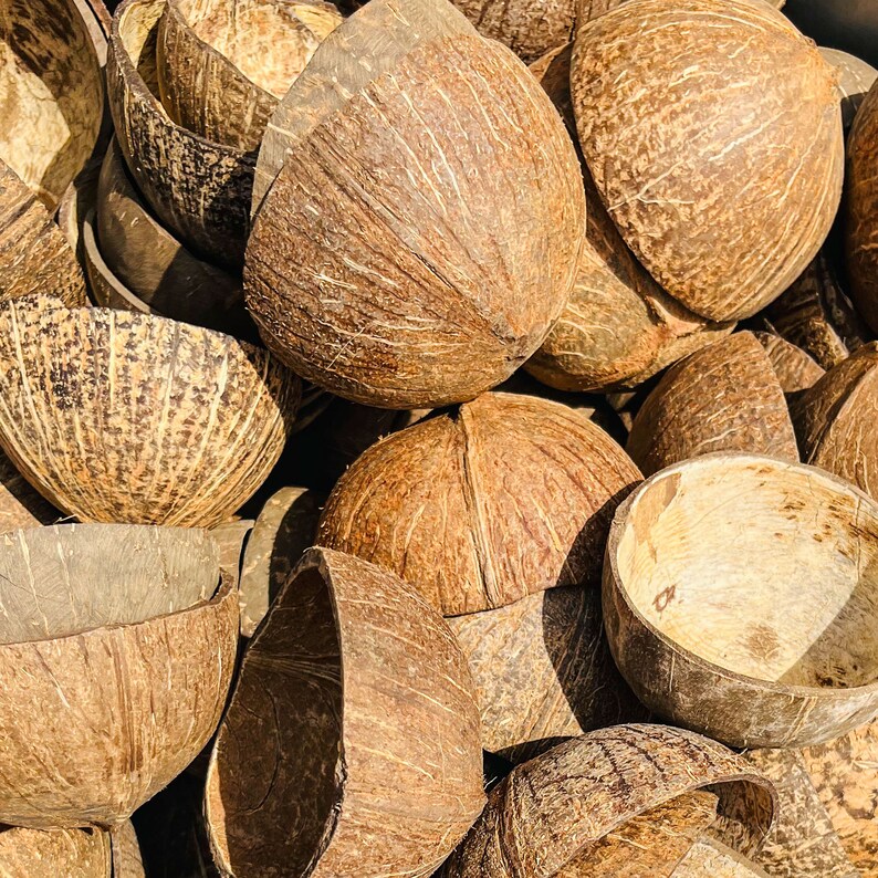 Coconut Shell Bowl, Smooth Finished, Handmade Coconut Bowl, Coconut ...