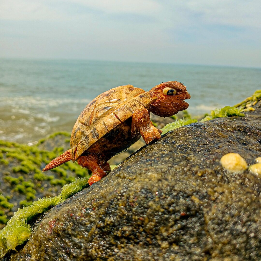 Tortoise Gift Ornament Wood Tortoise Table Decor Tortoise Statue Wooden ...