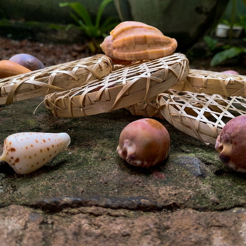 String Hopper Plates, String Hopper Reed Plates, String Hopper Reed ...