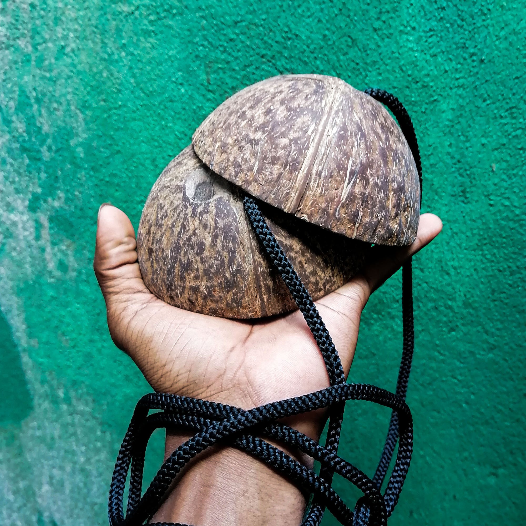 Walking Blocks Coconut Shell Walking Blocks for Kids Coconut Shell Flip ...