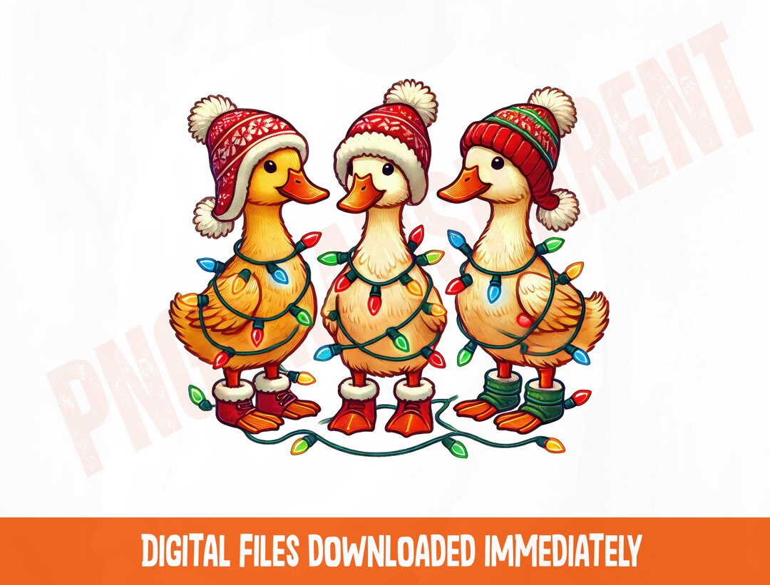 Christmas Ducks Png, Holiday Winter Hat Duck Design, Cute Christmas ...