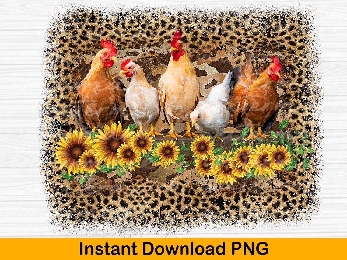 Chicken Sublimation Png Download Farm Animal Sublimation - Etsy