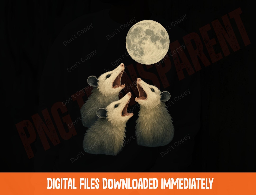Three Possum Moon PNG: Funny Animal Meme Sublimation Design - Etsy