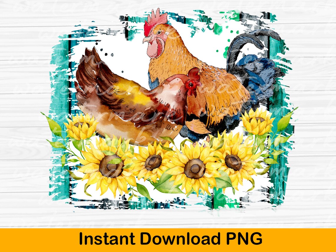 Chickens and Sunflower Png Chicken Design Chickens Clipart - Etsy