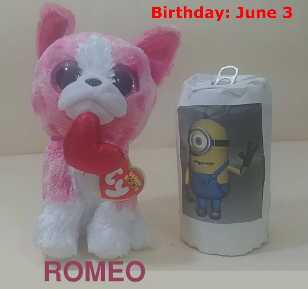 Ty Silk Beanie Boos the 6 ROMEO Pink Dog Glittering - Etsy