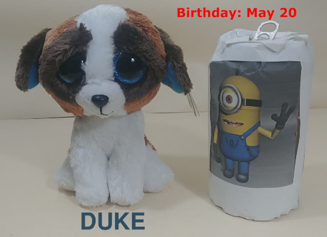 TY Beanie Boos:the 6" DUKE the St. Bernard Dog With Glitter Eyes- NEW ...