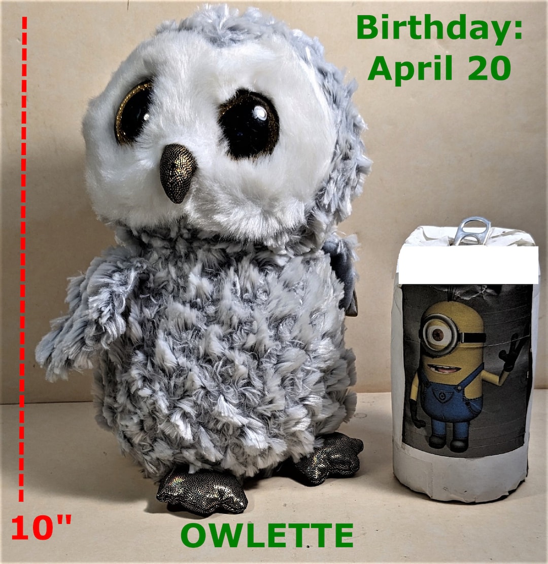 Ty Beanie Boos: OWLETTE the 11" White Owl, With Large, Round, Sparkly ...