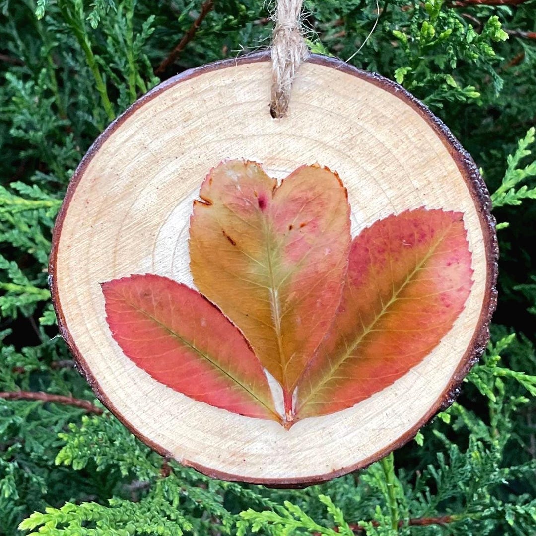 Cherry Laurel Heart Leaf Woodslice Decoration , Handmade With Real ...
