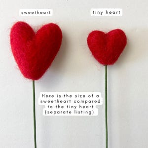 Sweetheart Felt Pick, Multiple Colors - Etsy