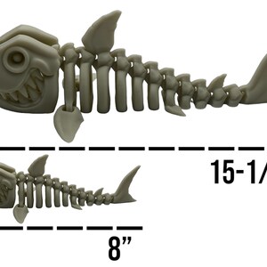 Shark Skeleton - Etsy