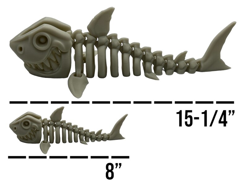 Shark Skeleton - Etsy