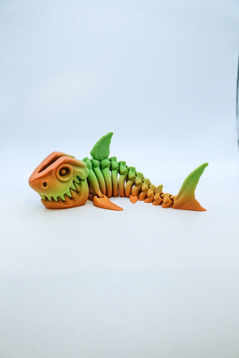 Shark Skeleton - Etsy