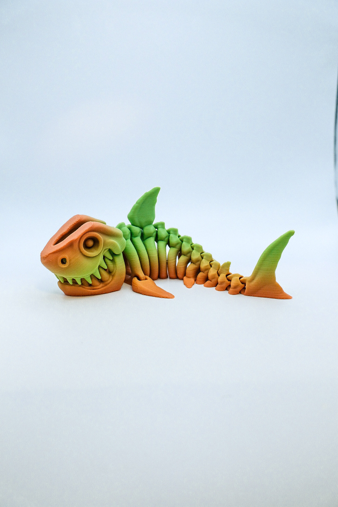 Shark Skeleton - Etsy