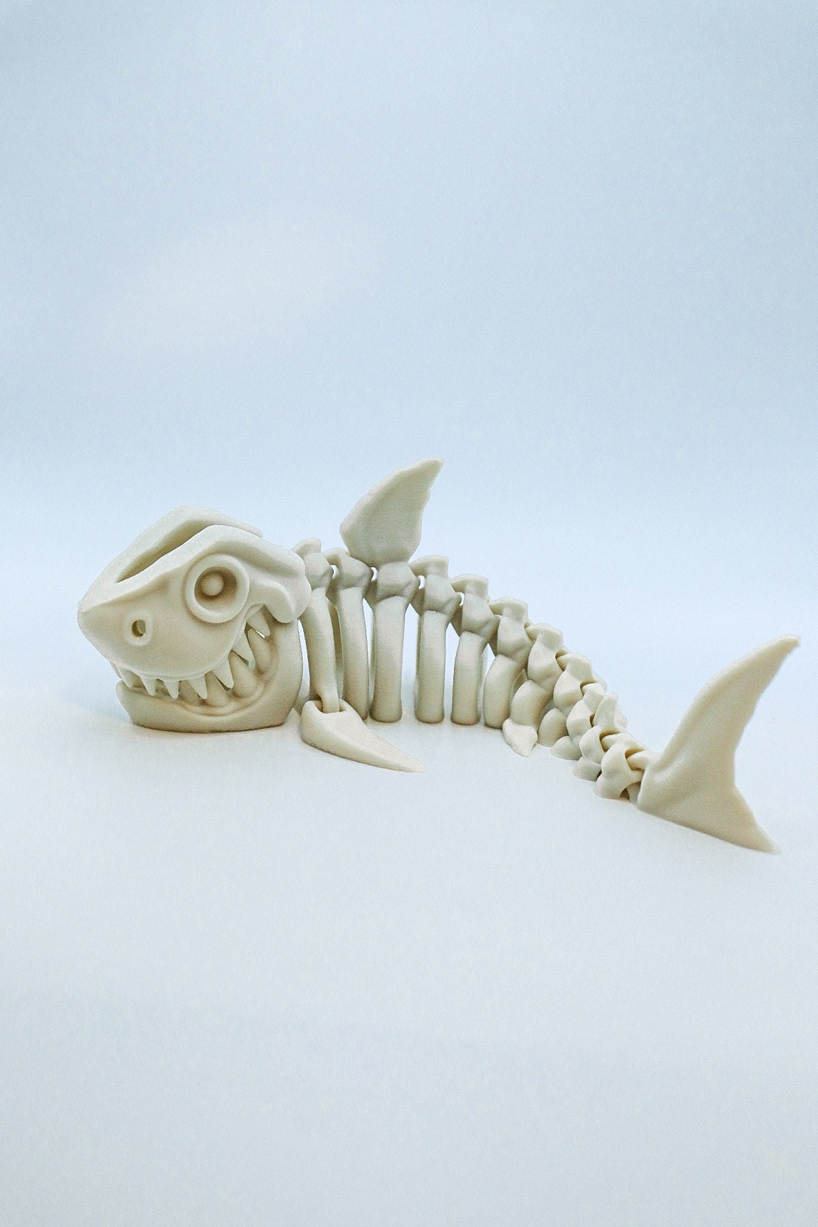 Shark Skeleton - Etsy