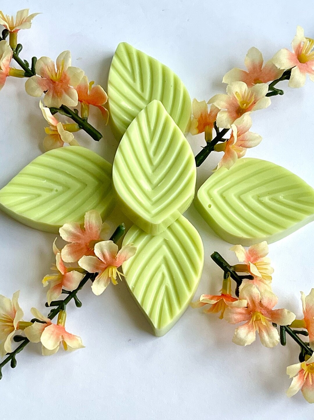 Bug Repellent Wax Melts, Mosquito Repellent, Bug Deterrent, Insect, Bug ...