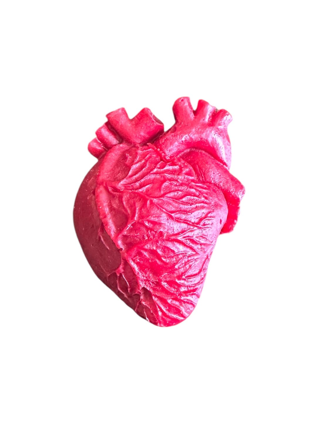 Realistic Heart Wax Melt, Major Organ, Veins, Vessels - Etsy