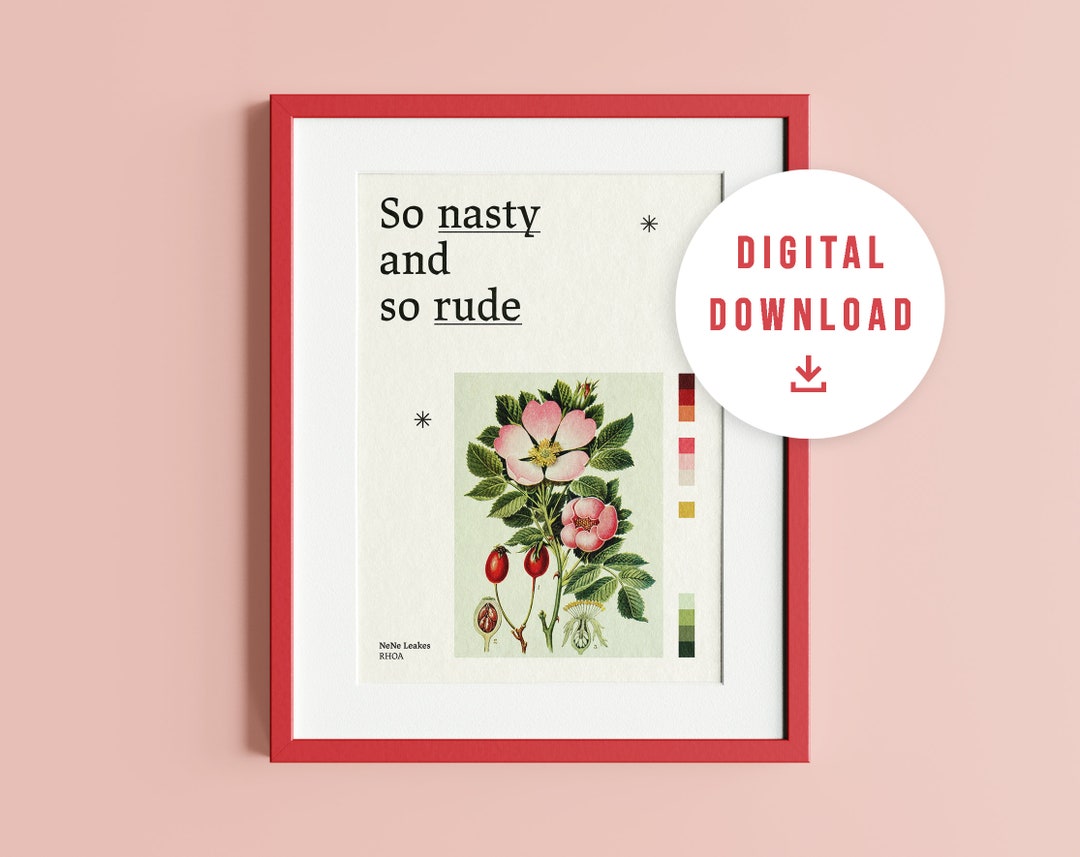 So Nasty and so Rude | Nene Leakes | Quote | Real Housewives of Atlanta ...