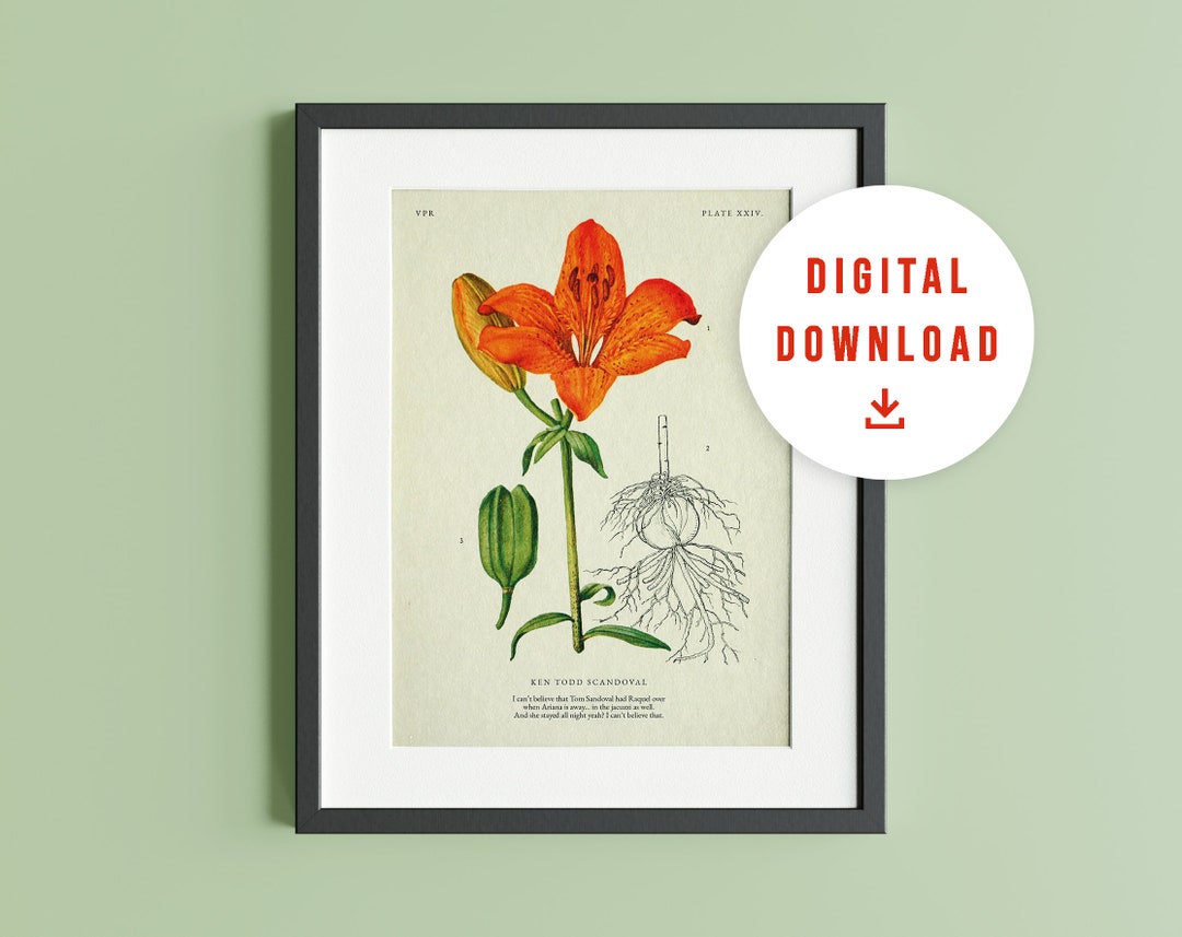 Vanderpump Rules Inspired Floral Art Print (digital Download) - Etsy