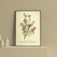 RHOSLC Finale - Print - Etsy