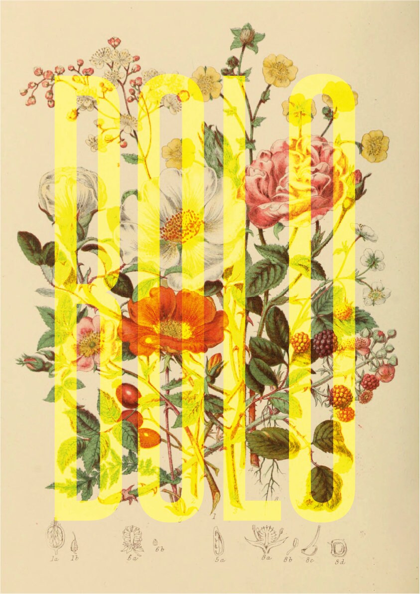 BOLO stripper Real Housewives Atlanta RHOA Citaat - Etsy Nederland