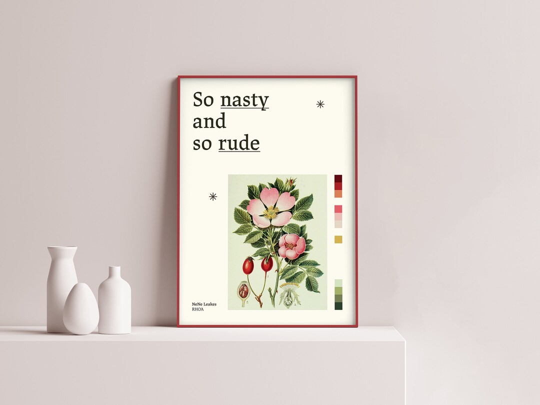 So Nasty and so Rude | Nene Leakes | Quote | Real Housewives of Atlanta ...