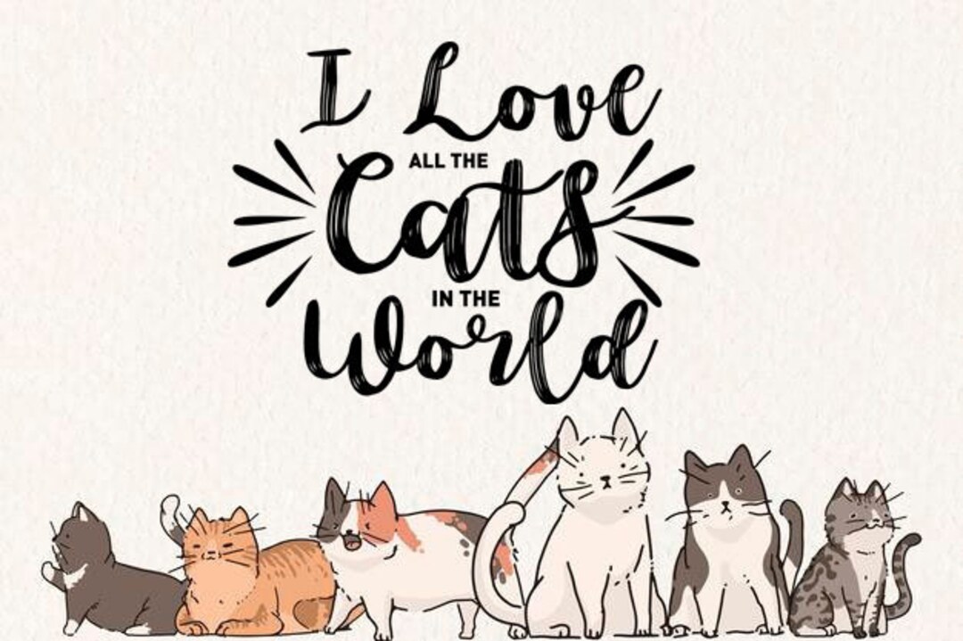 I Love All the Cats in the World Svg, Cat Lover Quote, Cat Lover Tshirt ...