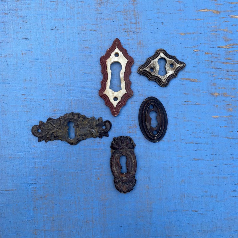 Set of 13 Door Escutcheons. Antique Door Escutcheons.skeleton Key Hole ...
