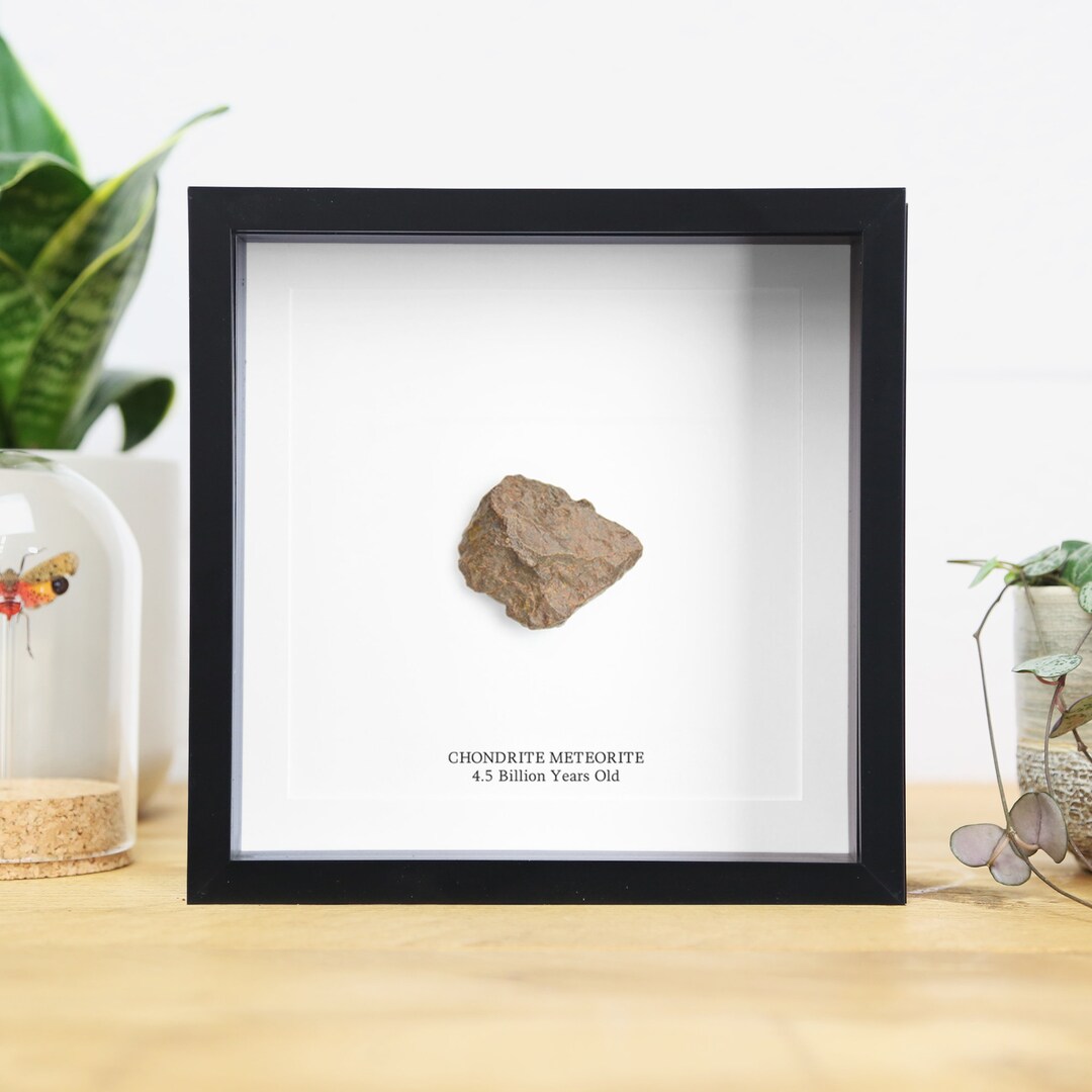 Chondrite Meteorite Box Frame Museum Quality Interior Design Modern ...
