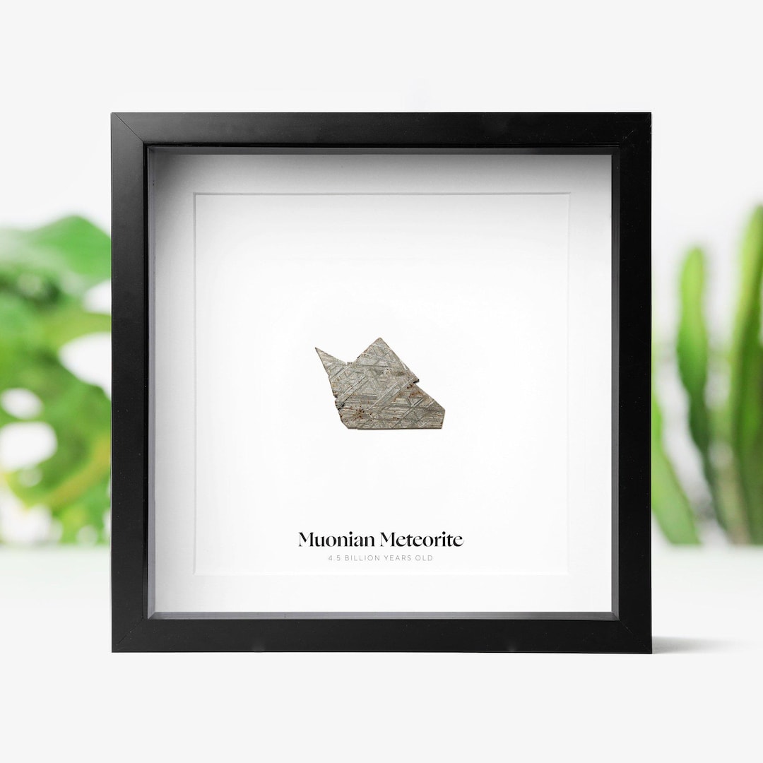Framed Muonion Meteorite Fragment, Authentic Space Solar System Home ...