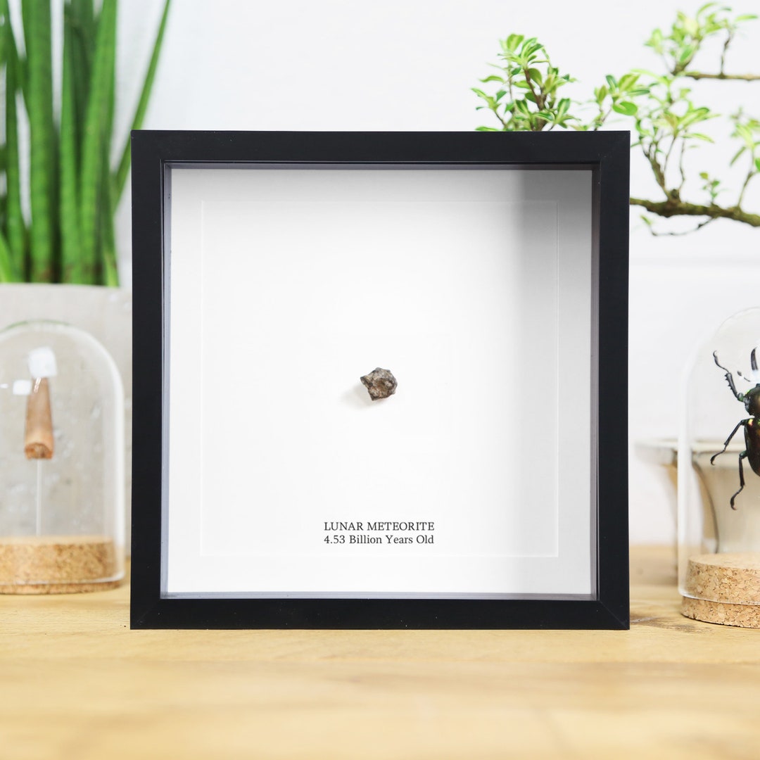 Lunar Meteor 4.5 Billion Years Old Museum Quality Frame / Authentic ...