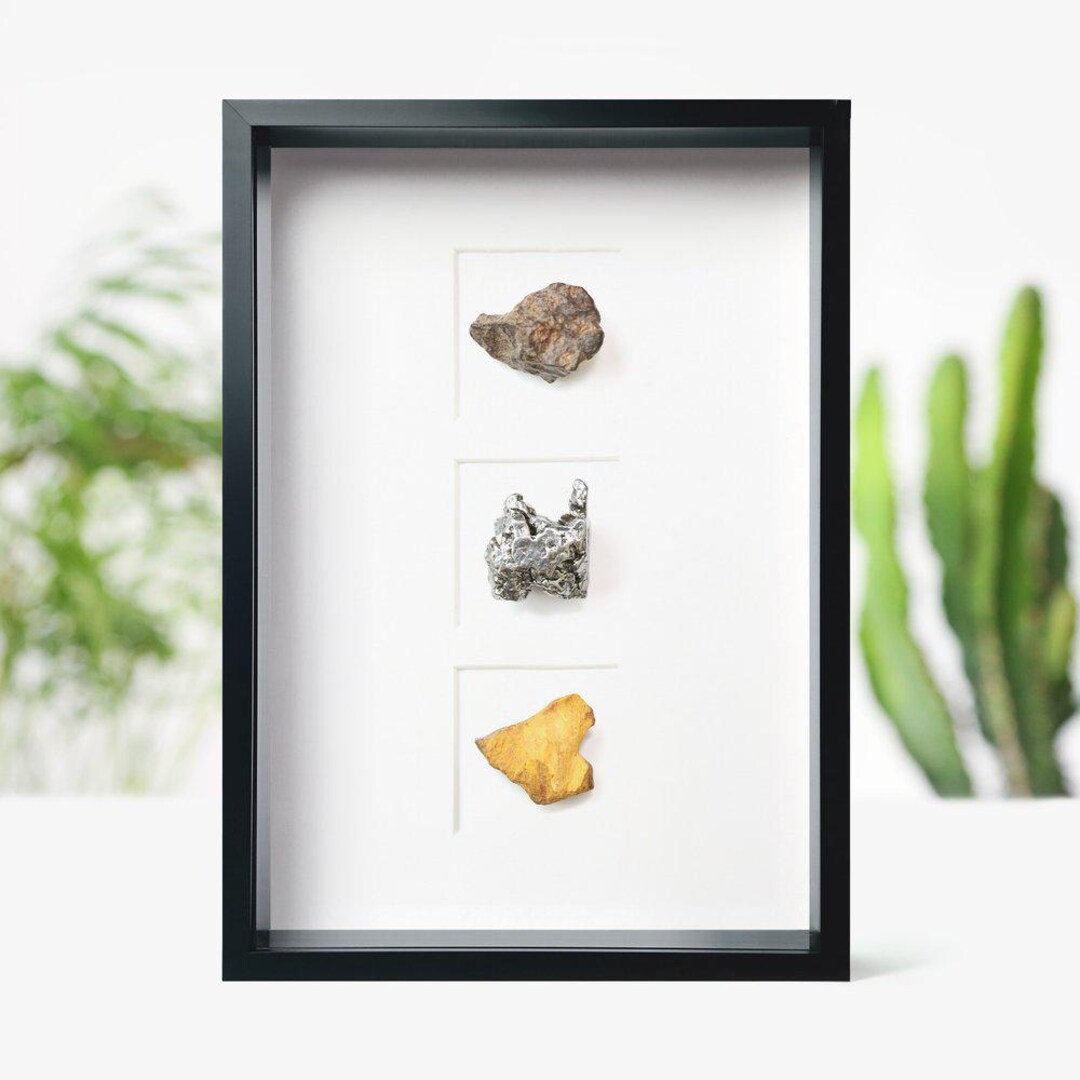 Campo Meteorite Myriad Collection Frame Authenticated Fossil Home Decor ...