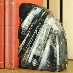 Marble Bookends With Belemnite Fossils – Natural History Home Decor ...