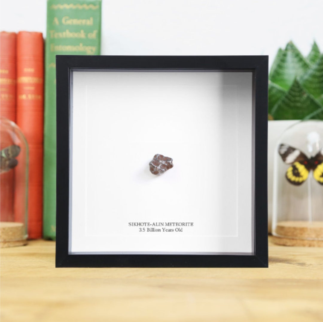 Sikhote-alin Meteorite Box Frame Museum Quality Interior Design Home ...