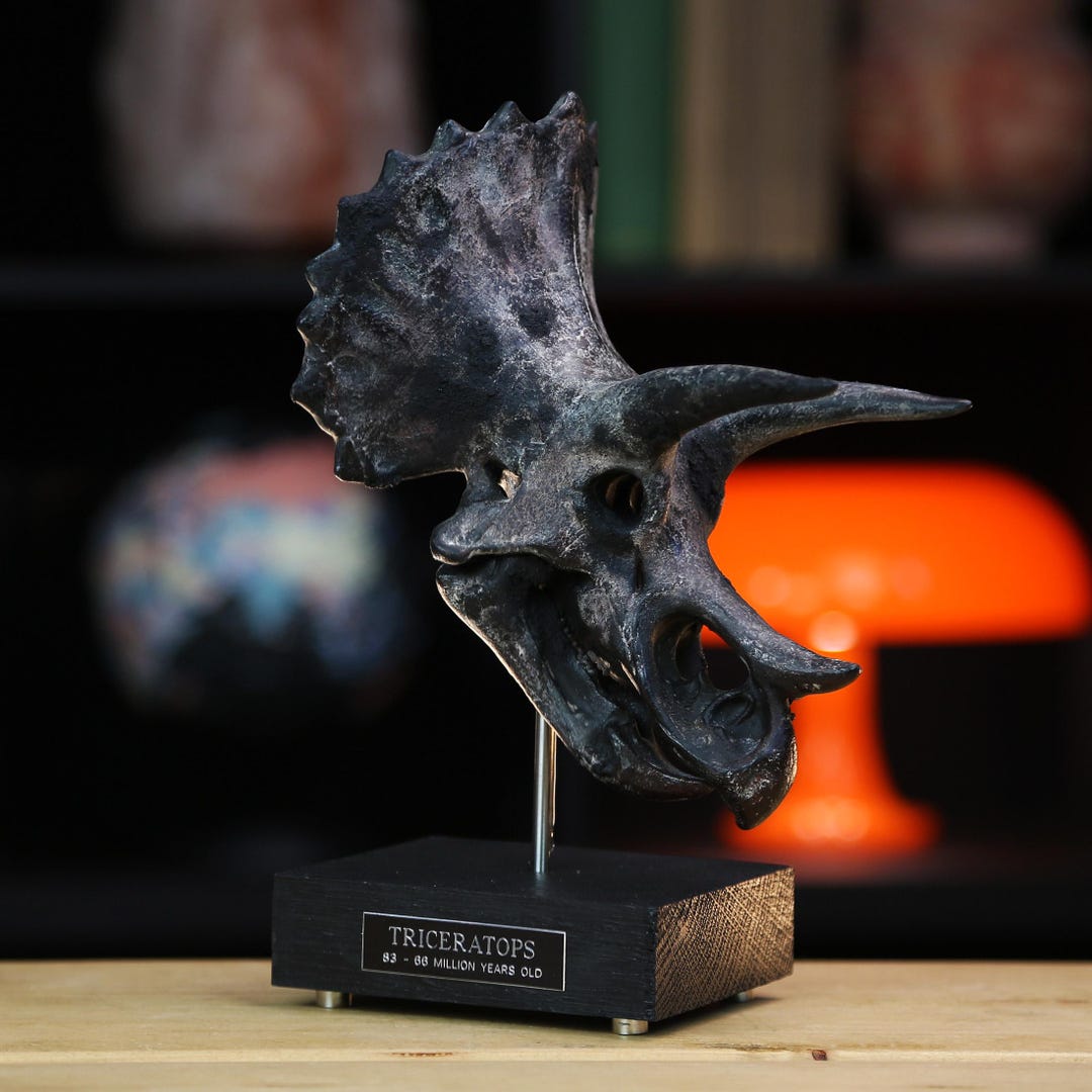 Triceratops Hand Painted Premium Replica Model Sculpture Art Jurassic ...
