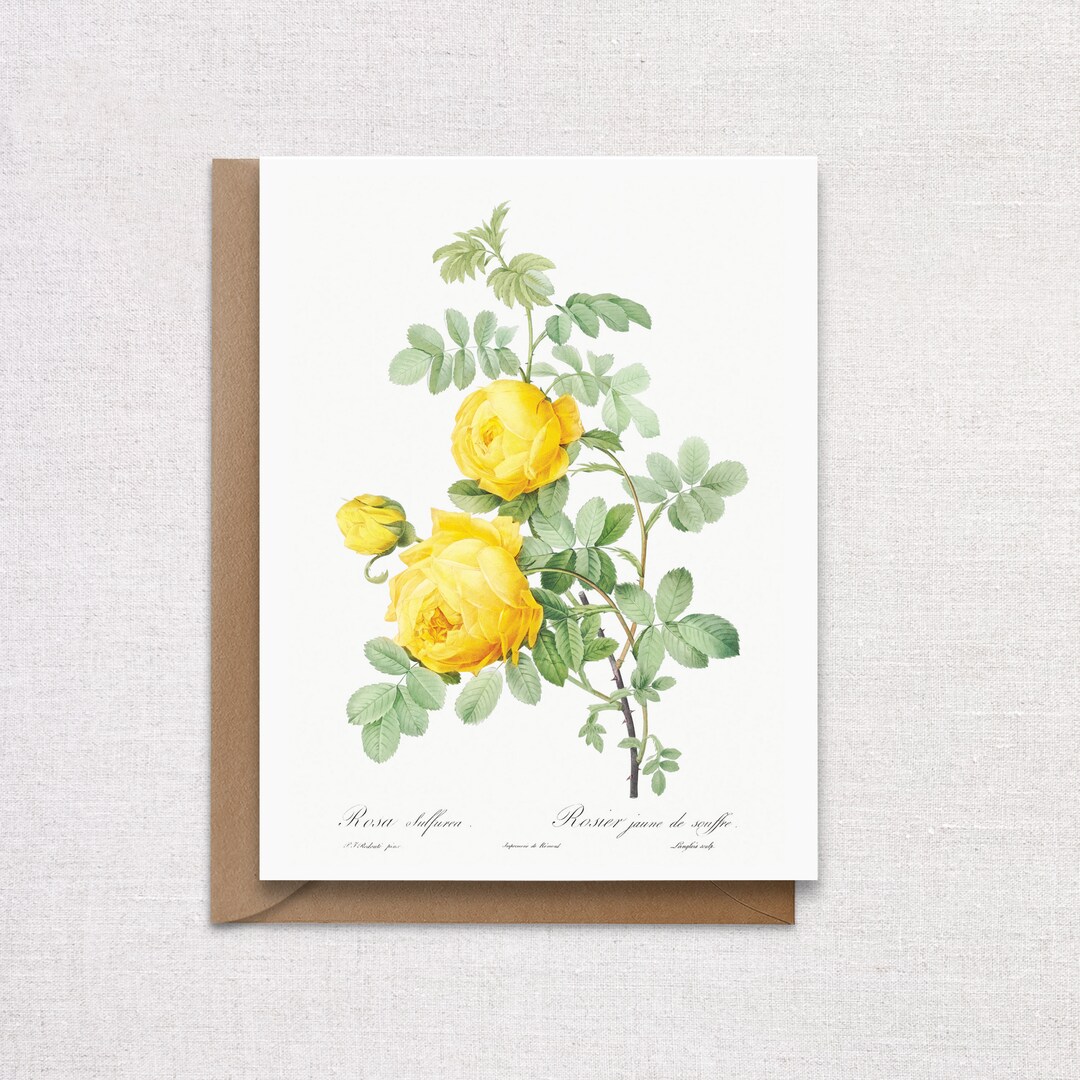 Vintage Floral Greeting Card. Yellow Rose Flower Card. - Etsy