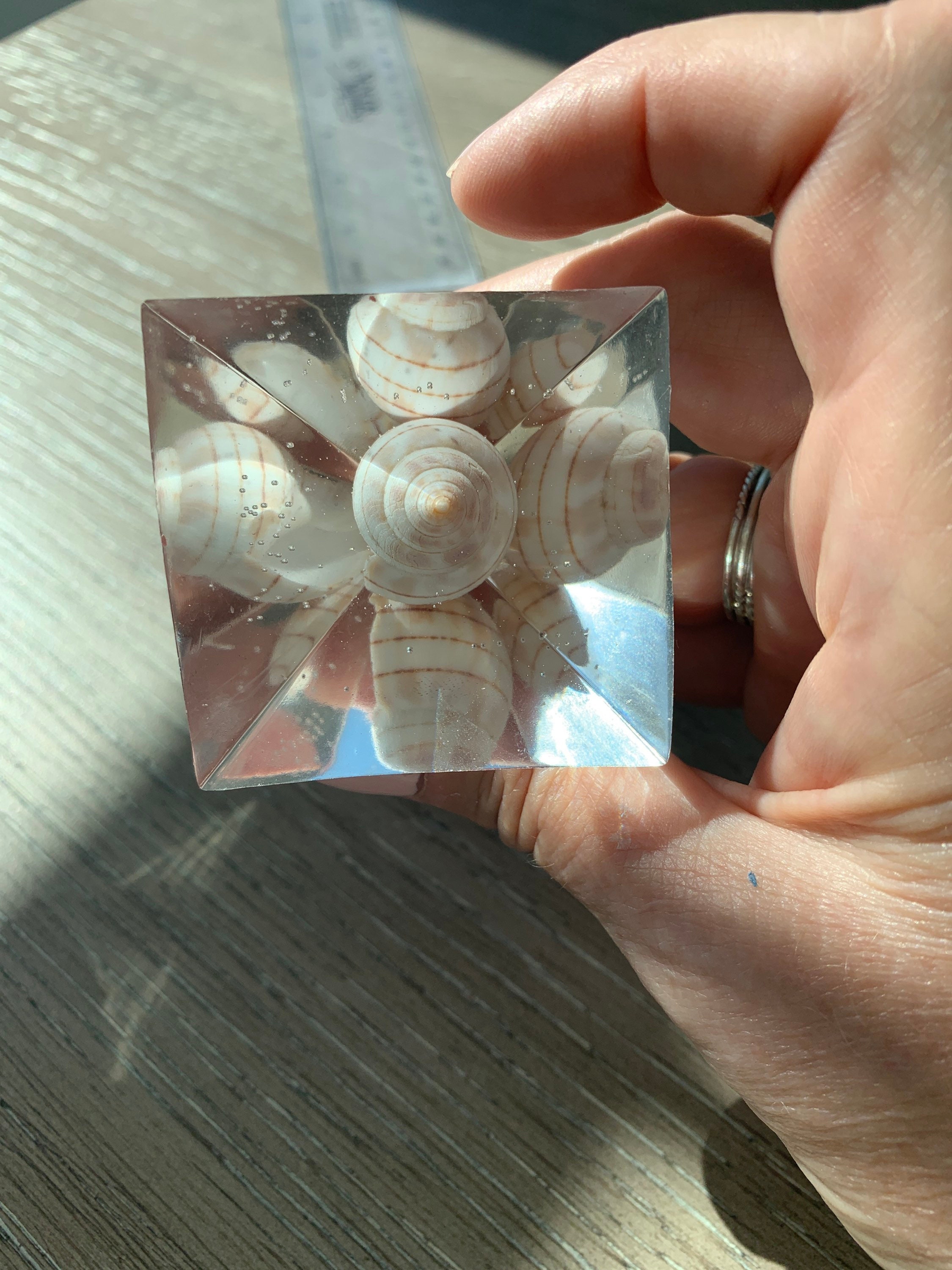 Paperweight Shell Pyramid - Etsy