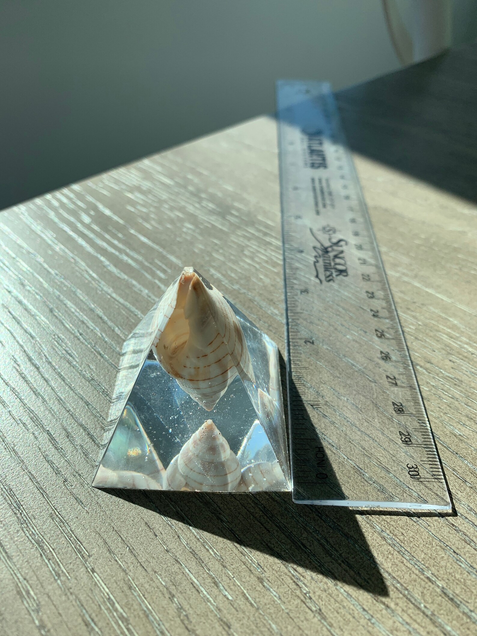 Paperweight Shell Pyramid - Etsy