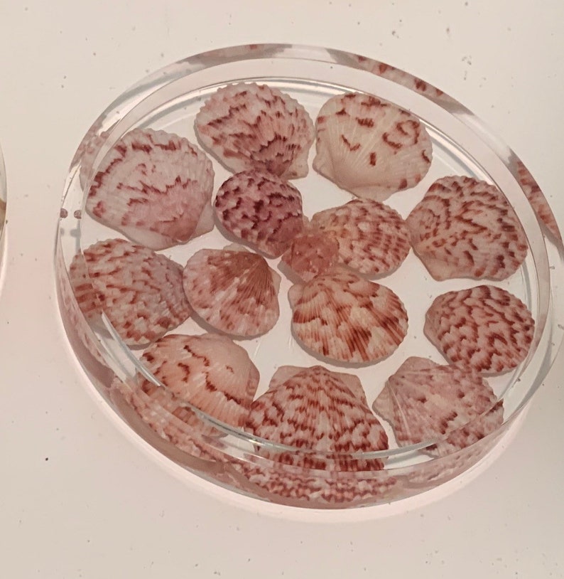 Coaster Shell Round Resin Acrylic - Etsy